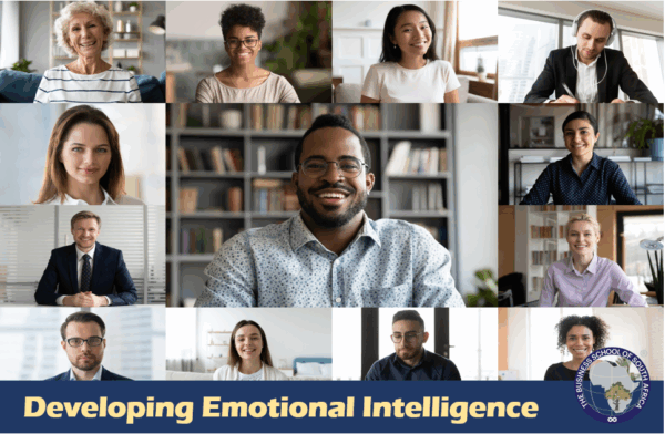 Developing Emotional Intelligence – SMART-LMS